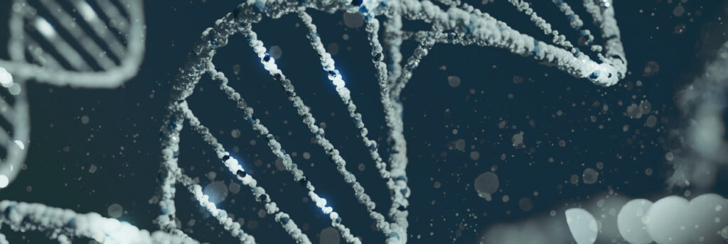 El papel vital de los biomateriales en la medicina regenerativa ...